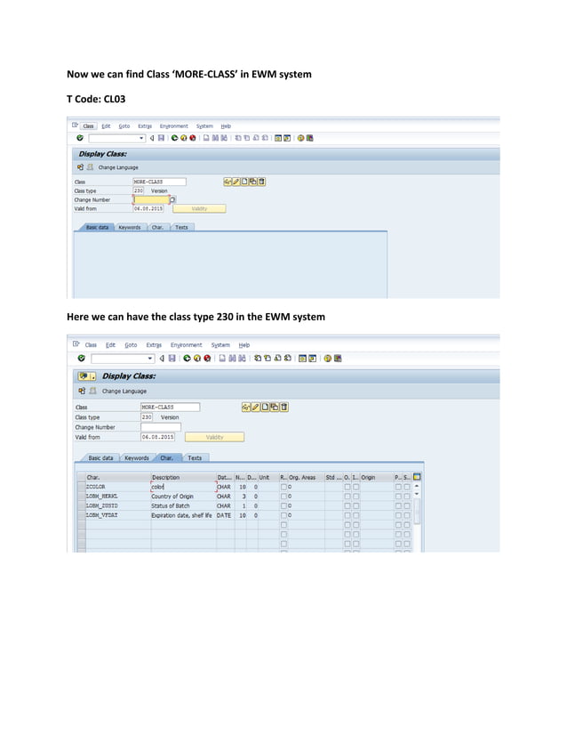 SAP EWM BATCH MANAGEMENT | DOC | Operating Systems | Computer Software and Applications