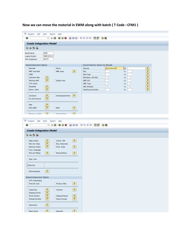 SAP EWM BATCH MANAGEMENT | DOC | Operating Systems | Computer Software and Applications