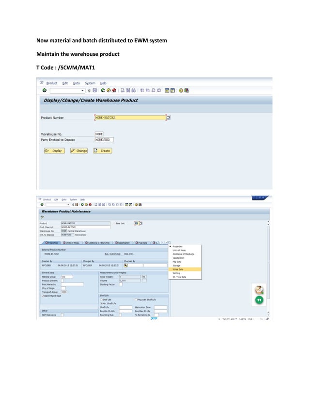 SAP EWM BATCH MANAGEMENT | DOC | Operating Systems | Computer Software and Applications