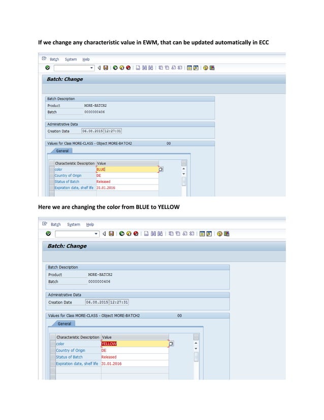 SAP EWM BATCH MANAGEMENT | DOC | Operating Systems | Computer Software ...