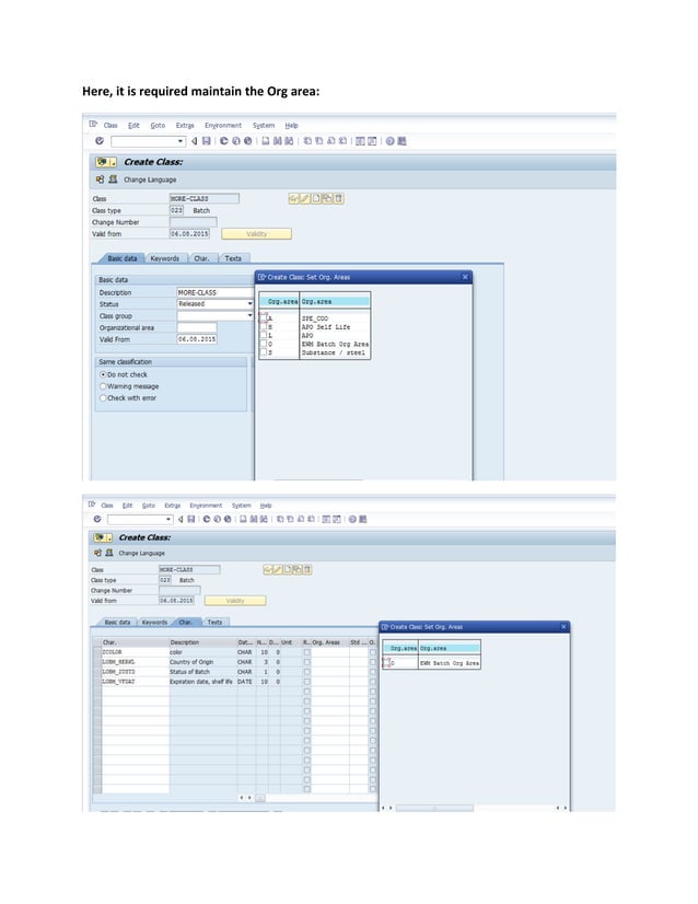 SAP EWM BATCH MANAGEMENT | DOC | Operating Systems | Computer Software and Applications