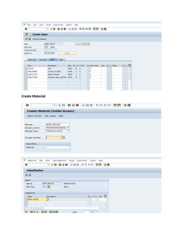 SAP EWM BATCH MANAGEMENT | DOC | Operating Systems | Computer Software ...
