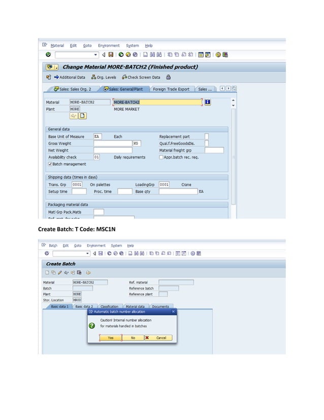 SAP EWM BATCH MANAGEMENT | DOC | Operating Systems | Computer Software and Applications