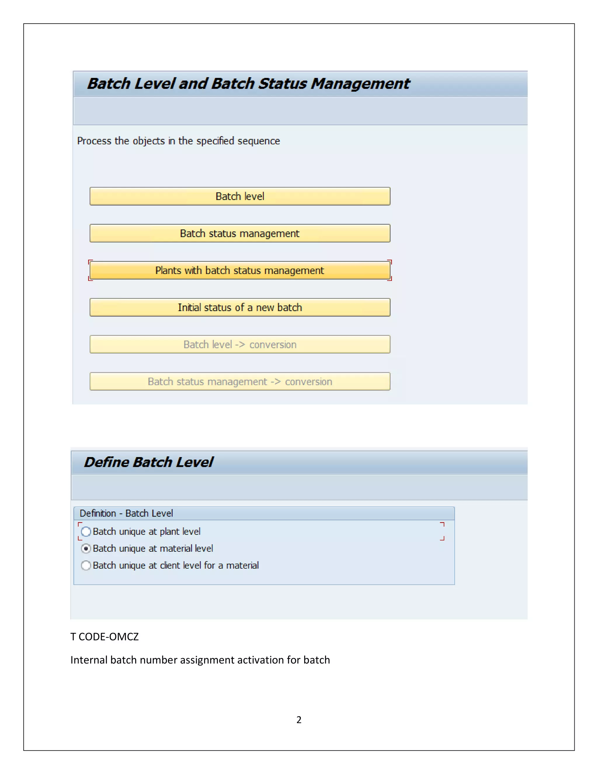 batch mgmt & batch determination.pdf