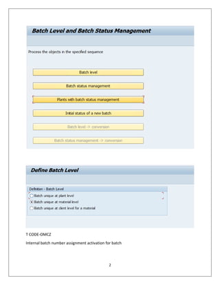 batch mgmt & batch determination.pdf