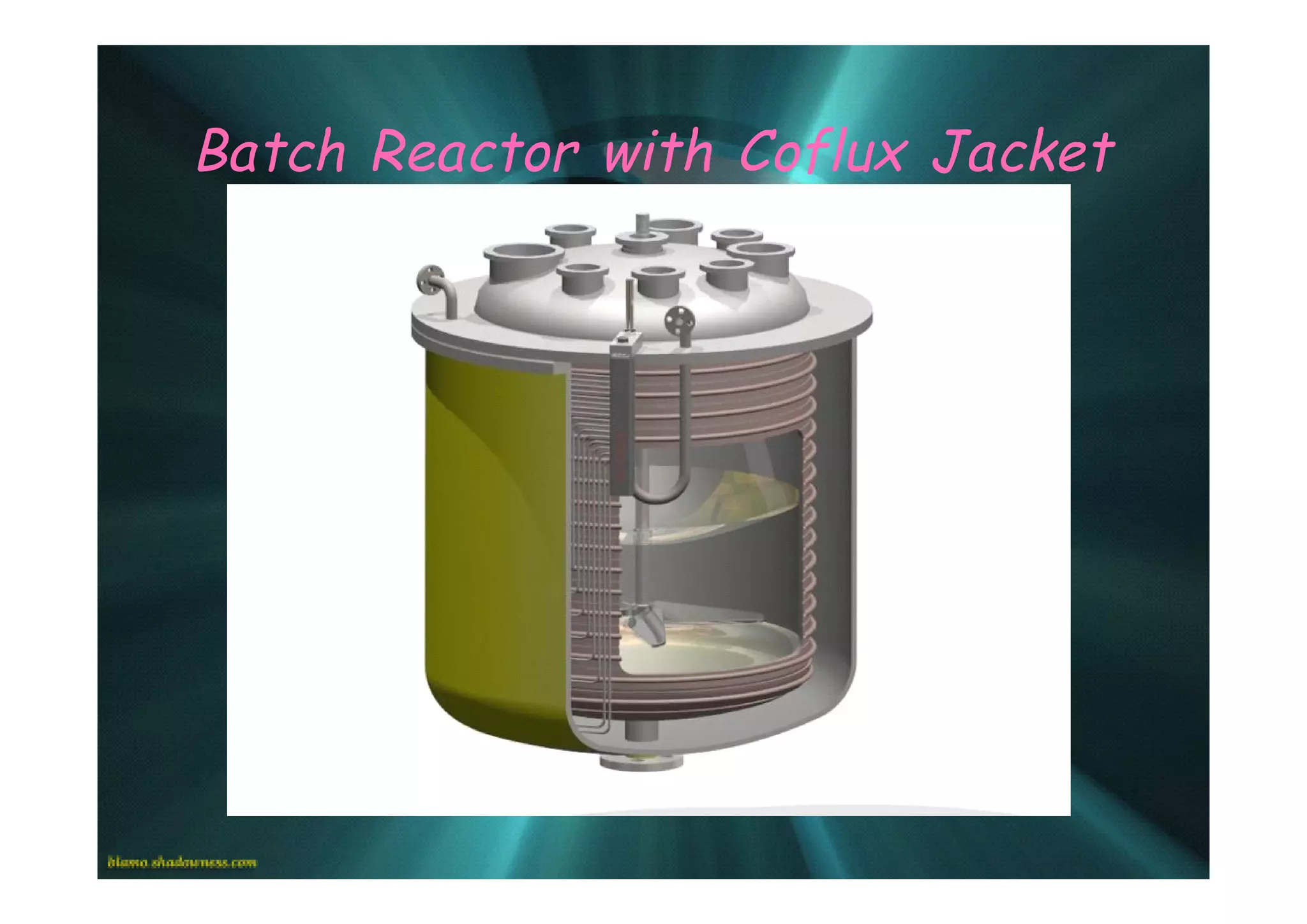 Batch Reactor | PDF