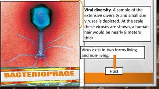 Bateriophage | PPTX