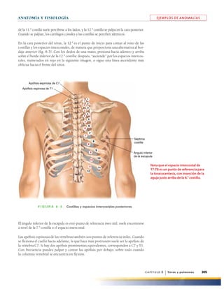 Bates Guia de Exploración Física- Torax y pulmones.pdf