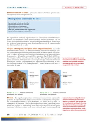Bates Guia de Exploración Física- Torax y pulmones.pdf