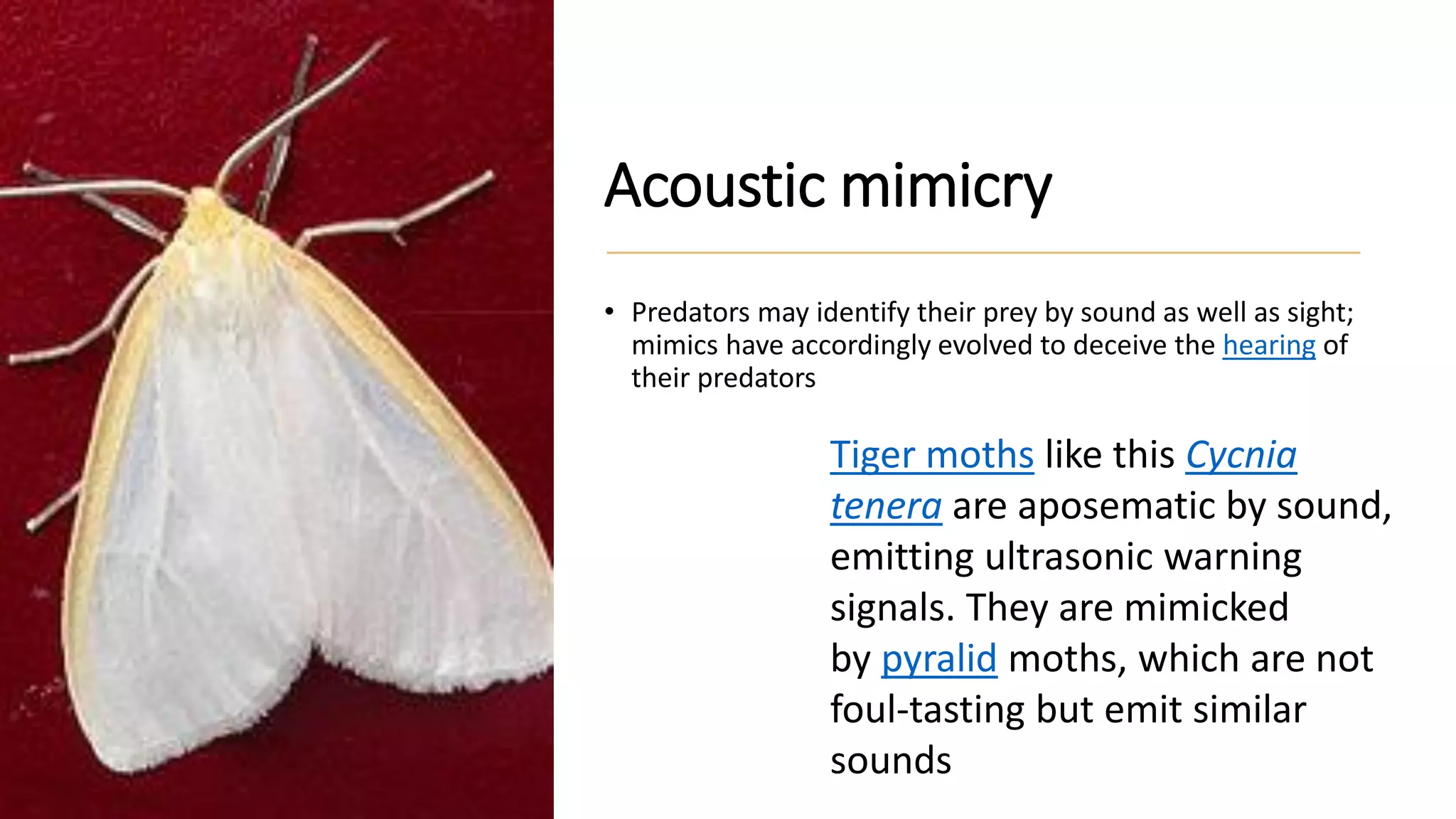 Mimicry: mullerian and batesian mimicry | PDF