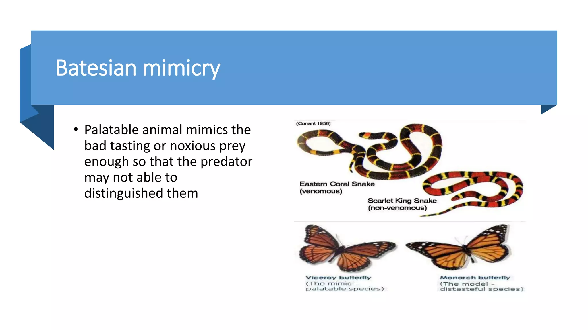 Mimicry: mullerian and batesian mimicry | PDF