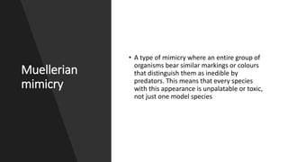 Mimicry: mullerian and batesian mimicry | PDF
