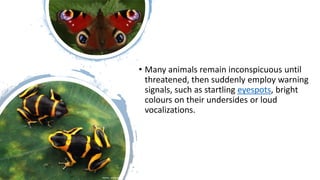 Mimicry: mullerian and batesian mimicry | PDF | Reptiles | Pets