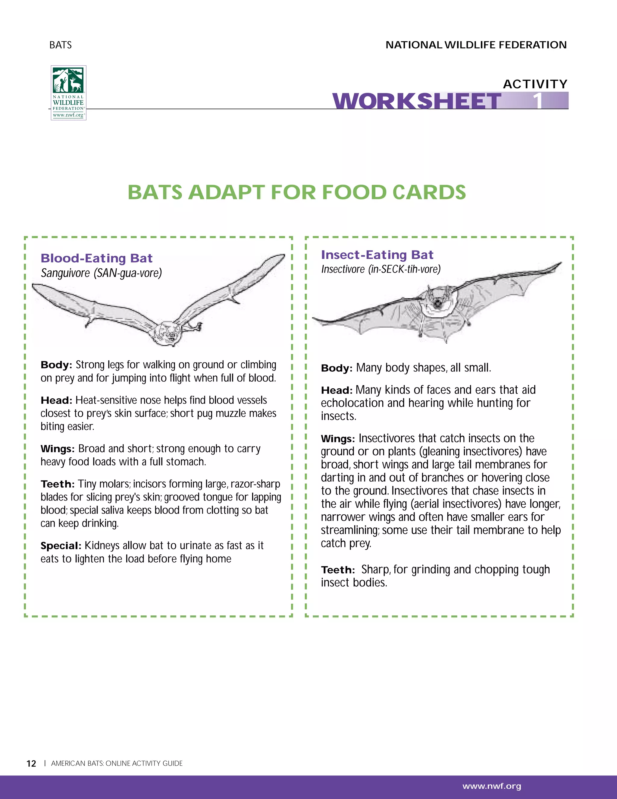 National Wildlife Federation's Bat Guide | PDF
