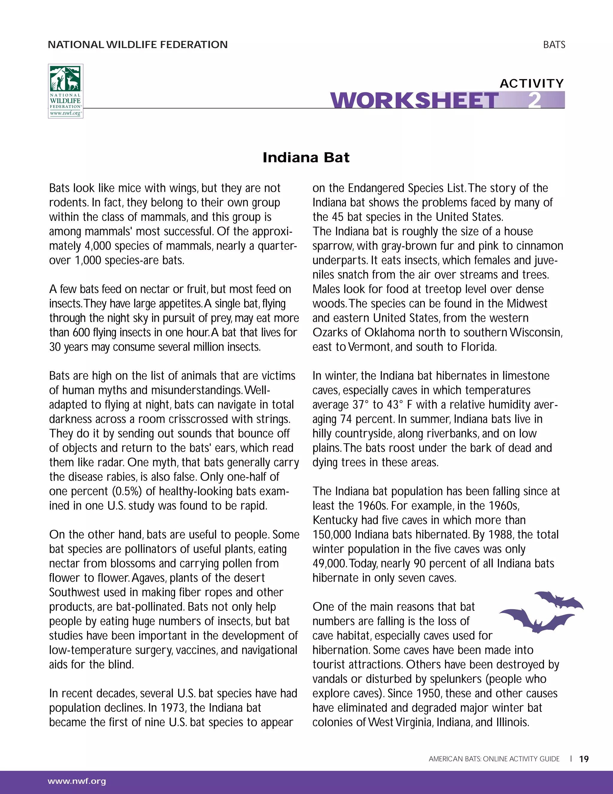 National Wildlife Federation's Bat Guide | PDF