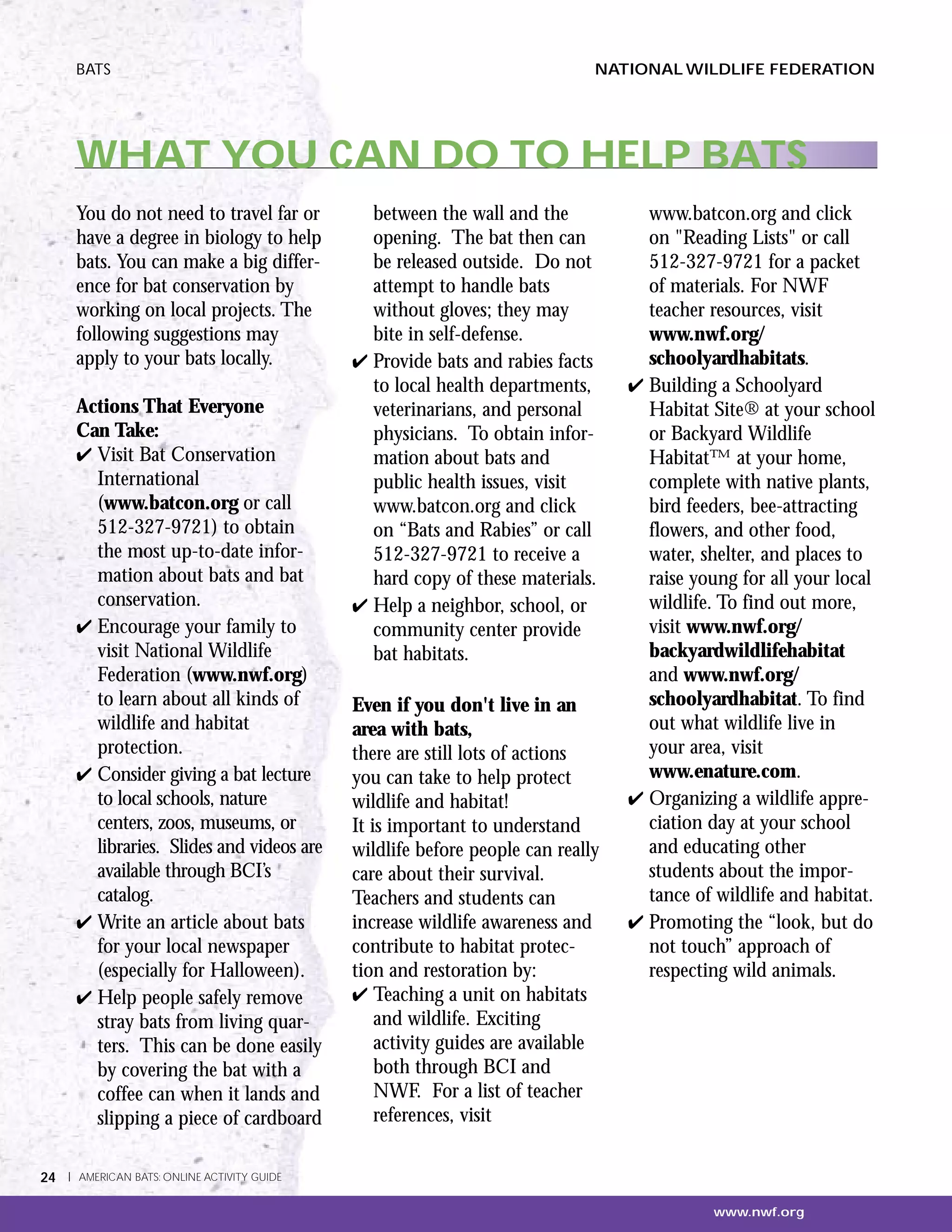 National Wildlife Federation's Bat Guide | PDF