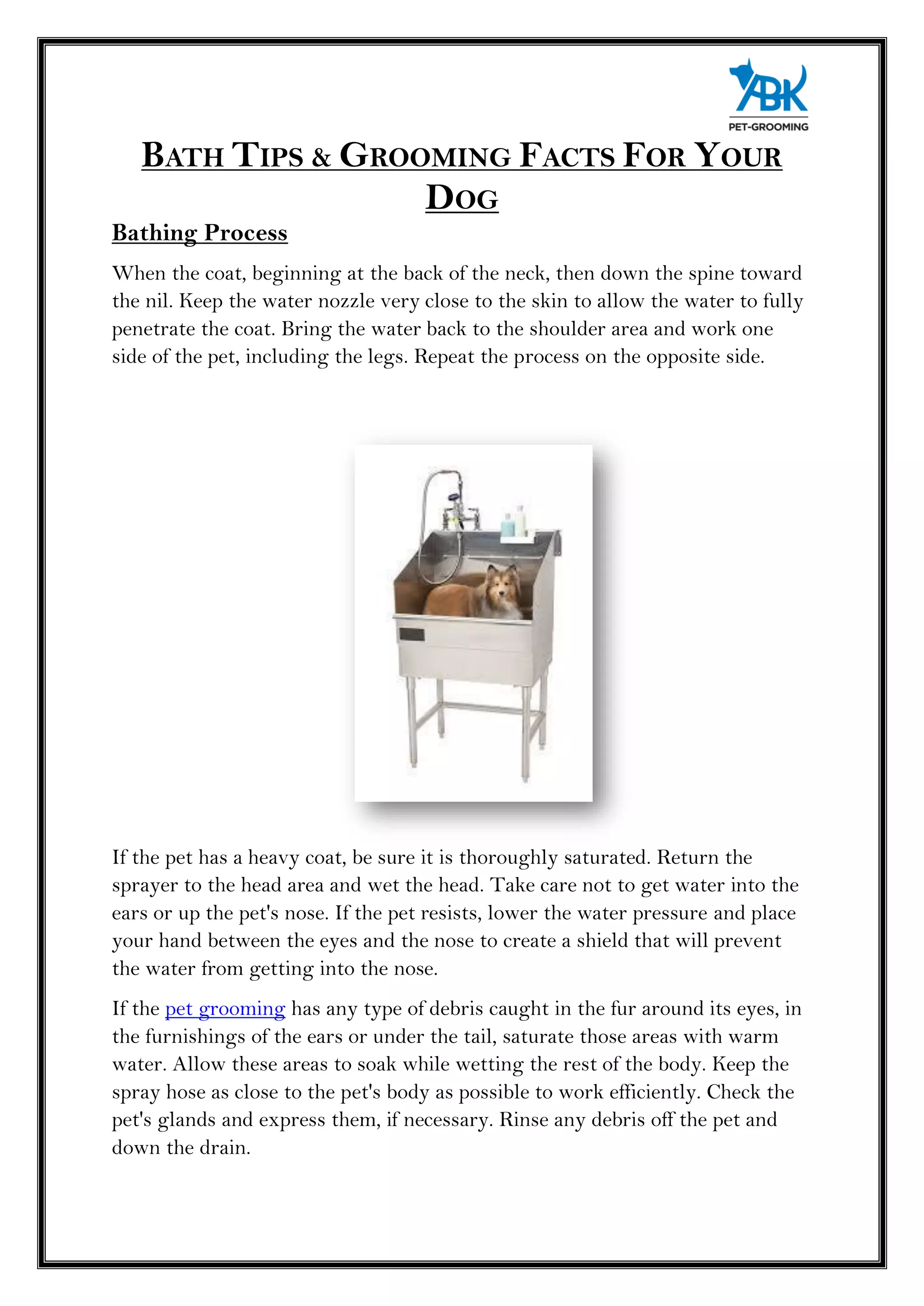 Bath tips for your dog | PDF