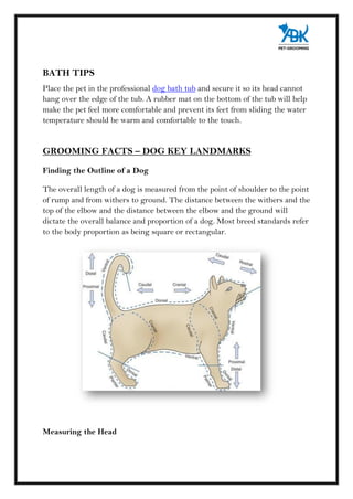 Bath tips for your dog | PDF