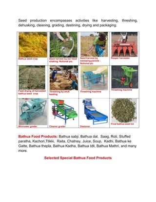 BATHUA (CHENOPODIUM ALBUM L) PRODUCTION AND PROCESSING FOR PARAMPARIC ...
