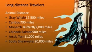 BATHYMETRIC DISTRIBUTION OF ANIMALS | PPTX