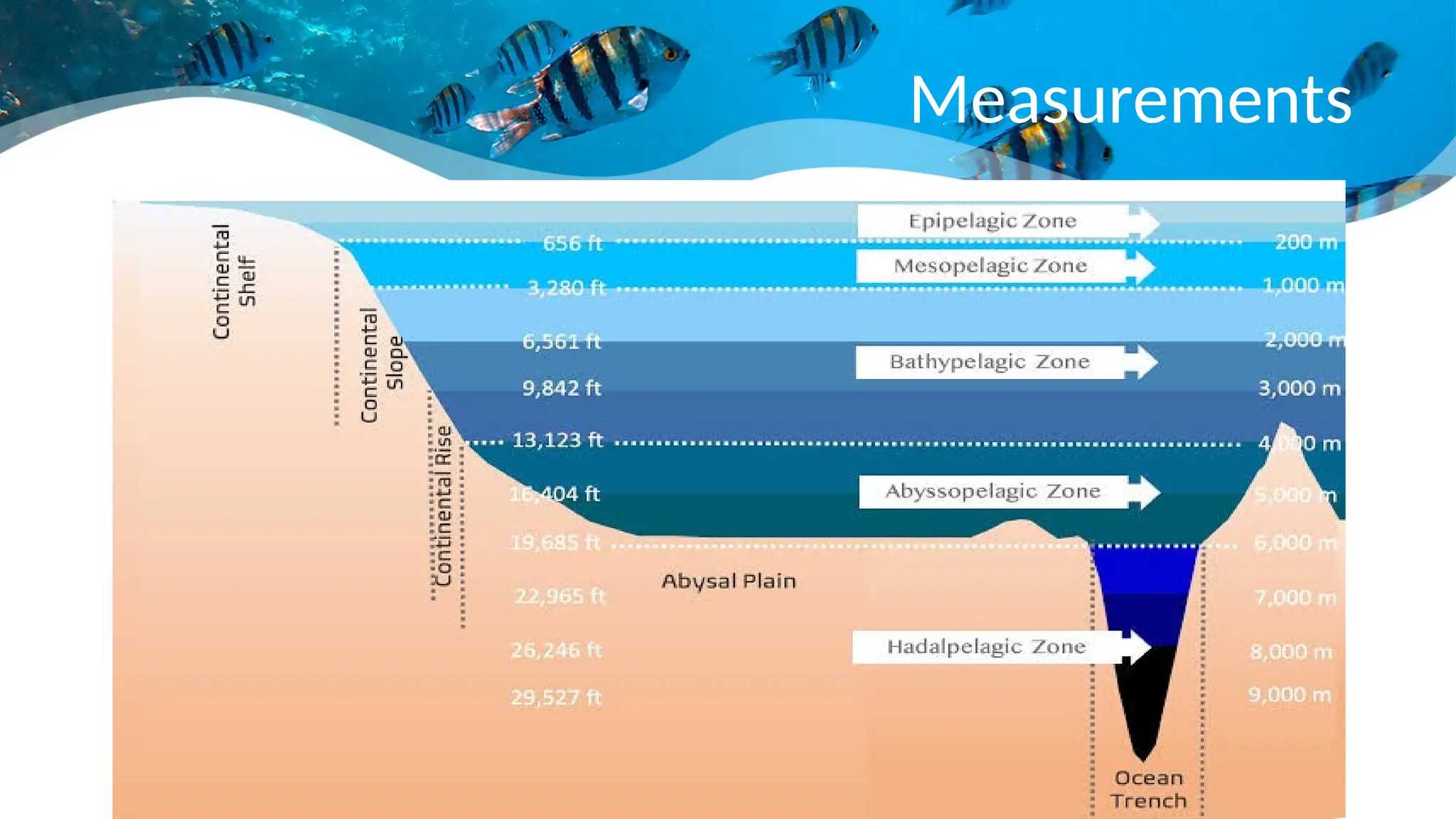 bathymetry introduction (Philippine fishing grounds).pptx
