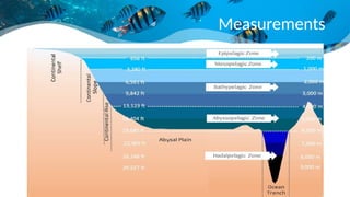 bathymetry introduction (Philippine fishing grounds).pptx