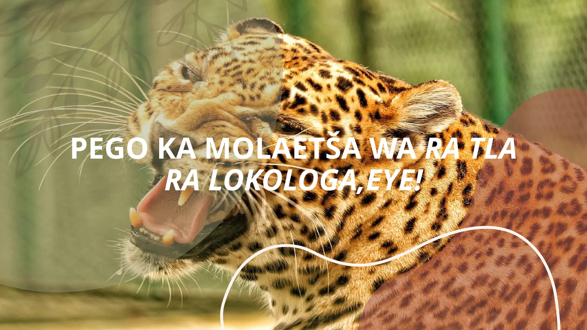 BATLOKWA_2[11].pptx AFT 121 PRESENTATION | PPTX