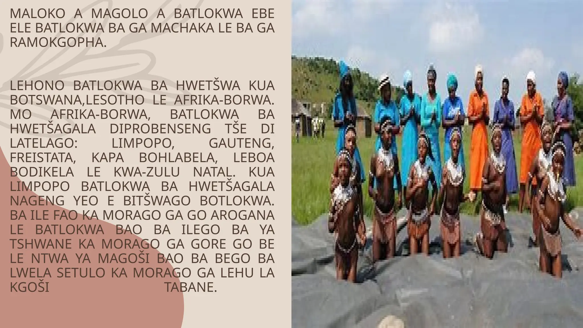 BATLOKWA_2[11].pptx AFT 121 PRESENTATION | PPTX