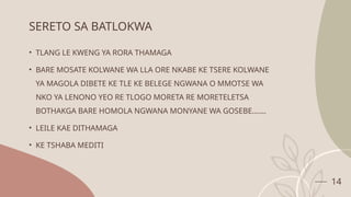 BATLOKWA_2[11].pptx AFT 121 PRESENTATION | PPTX | Africa Travel ...