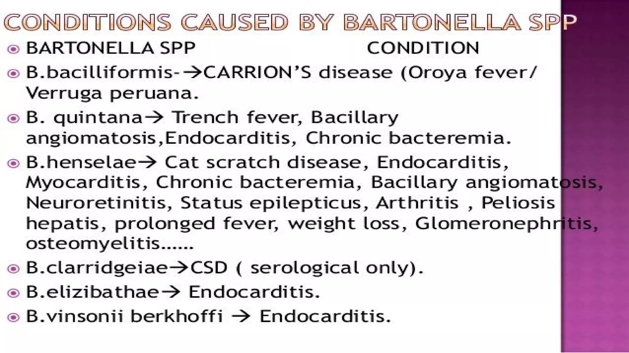 Bartonella | PDF