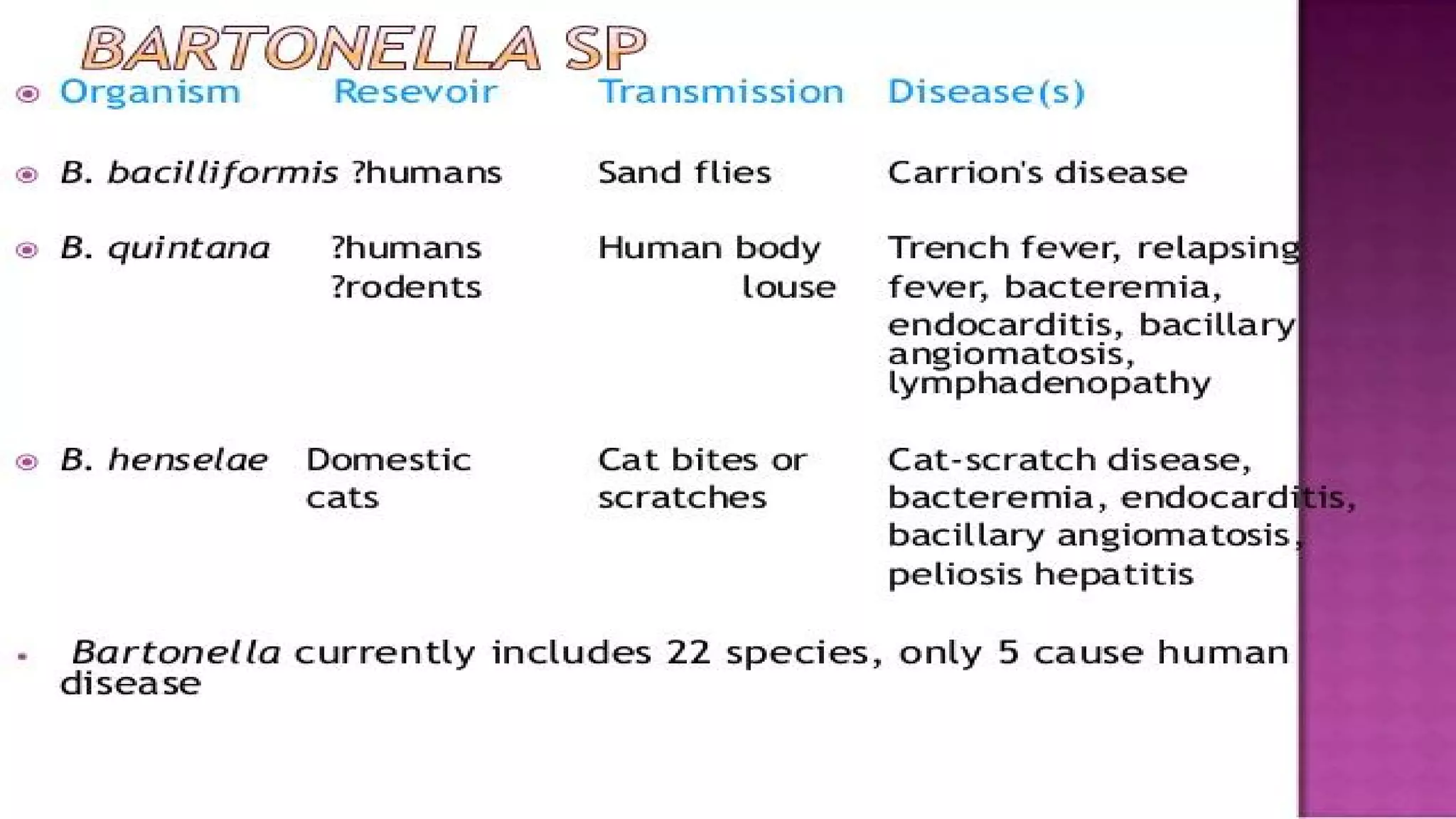 Bartonella | PDF
