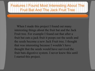 Bat & Plant Interdependence | PPT