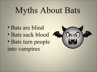 Bat Presentation | PPT