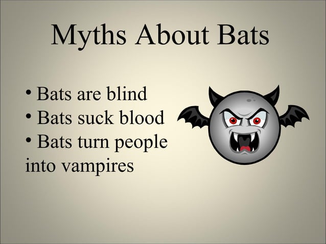 Bat Presentation | PPT