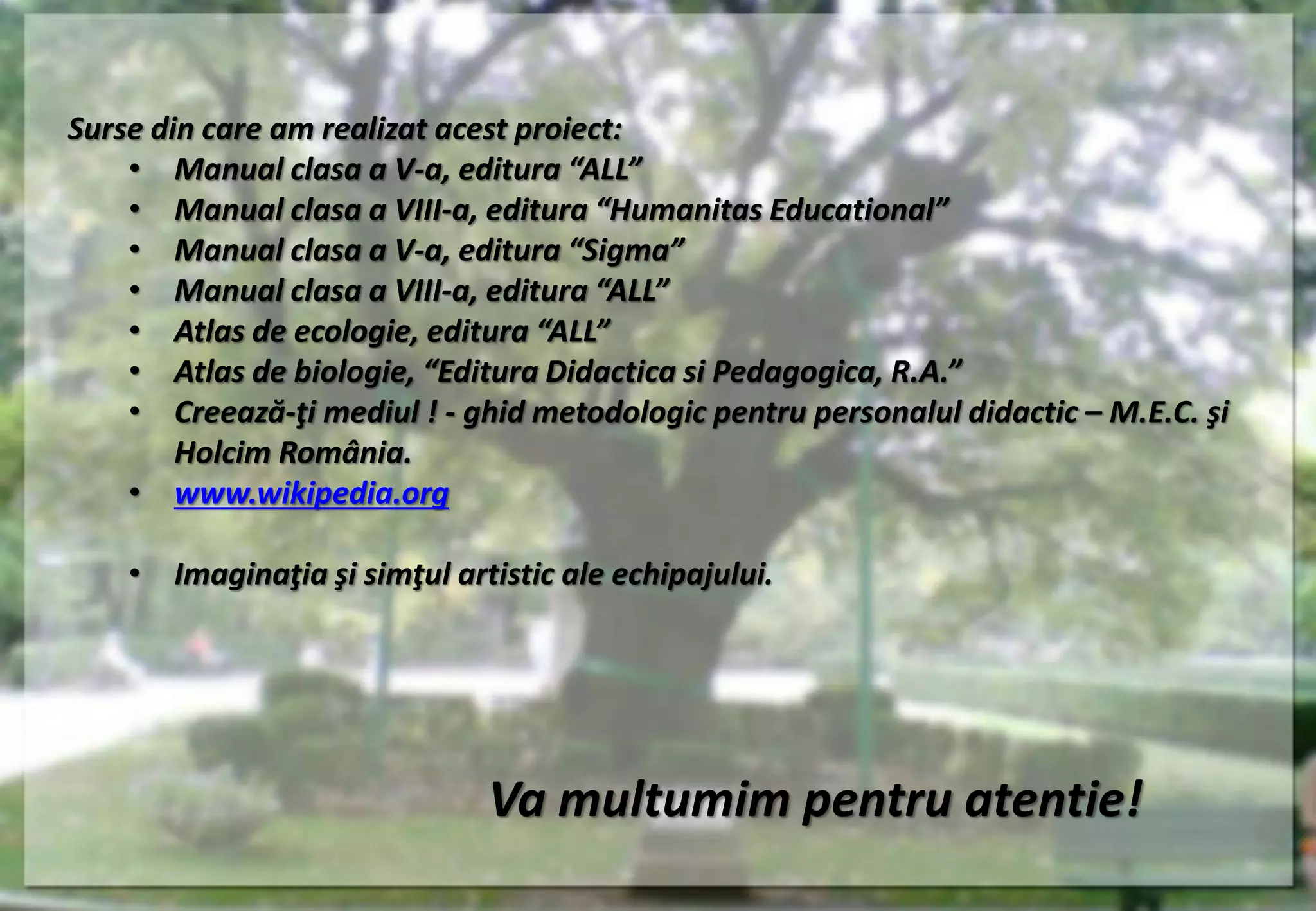 Batranul tei eminescian (1) | PPT