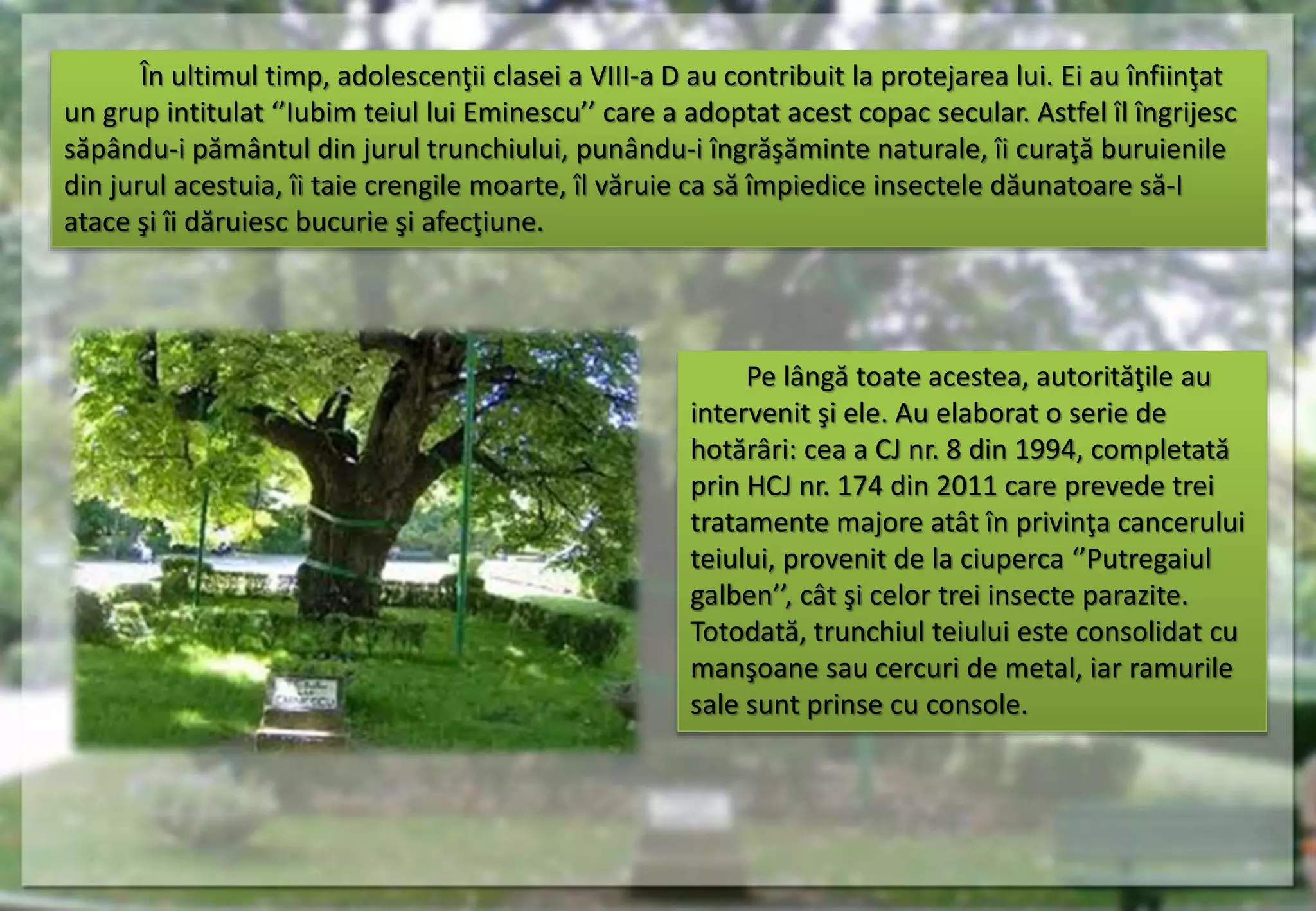 Batranul tei eminescian (1) | PPT