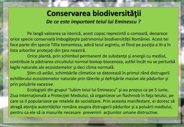 Batranul tei eminescian (1) | PPT