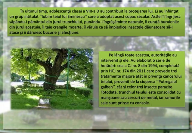 Batranul tei eminescian (1) | PPT