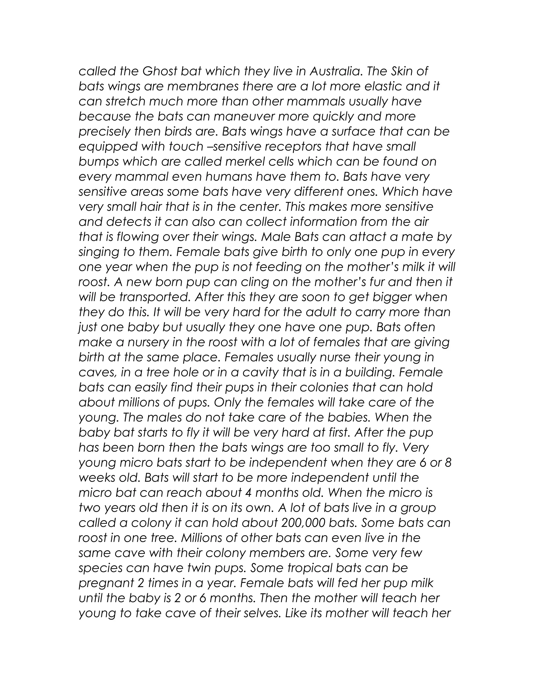 Bat report for ariel hyers | PDF