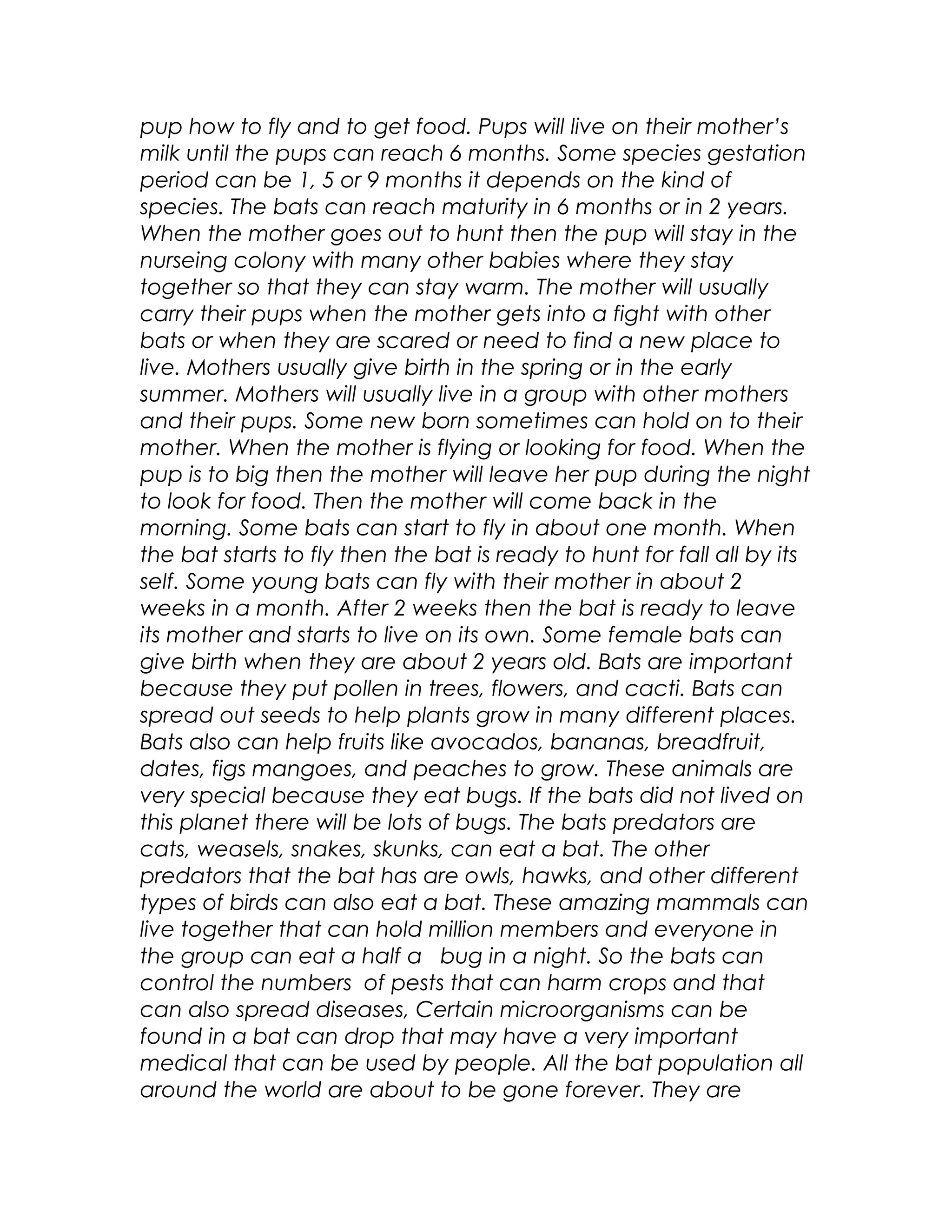 Bat report for ariel hyers | DOC