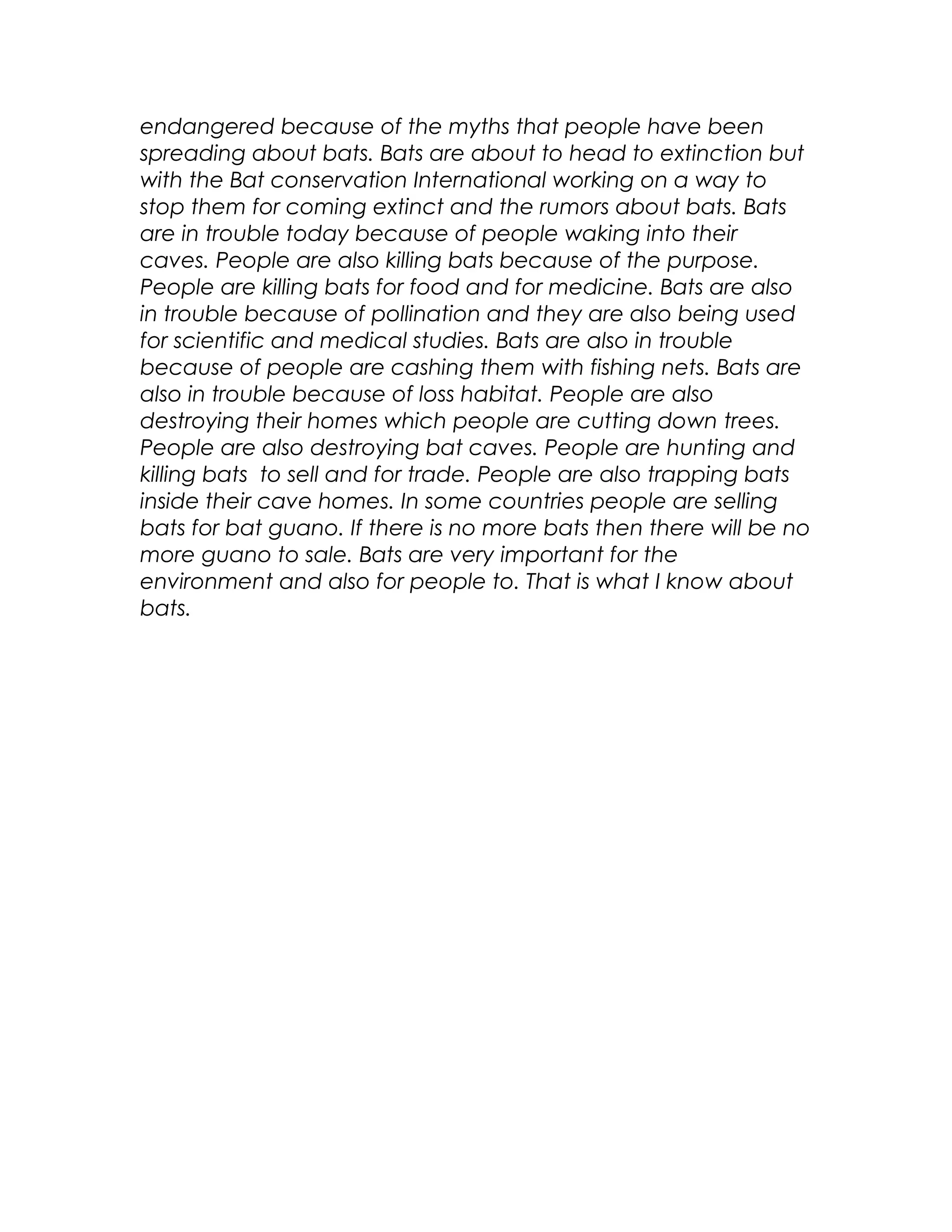 Bat report for ariel hyers | DOC