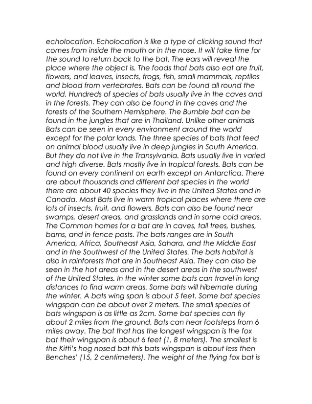 Bat report for ariel hyers | DOC