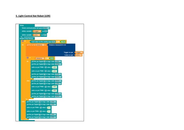 Bat Robot Coding.pdf