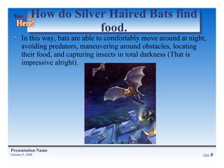 Bats by:Sophia & Anne-Marie | PPT
