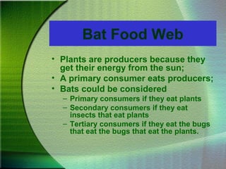 AST Bats: An Introduction | PPT