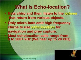 AST Bats: An Introduction | PPT