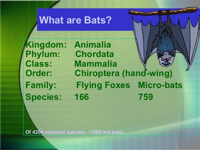 AST Bats: An Introduction