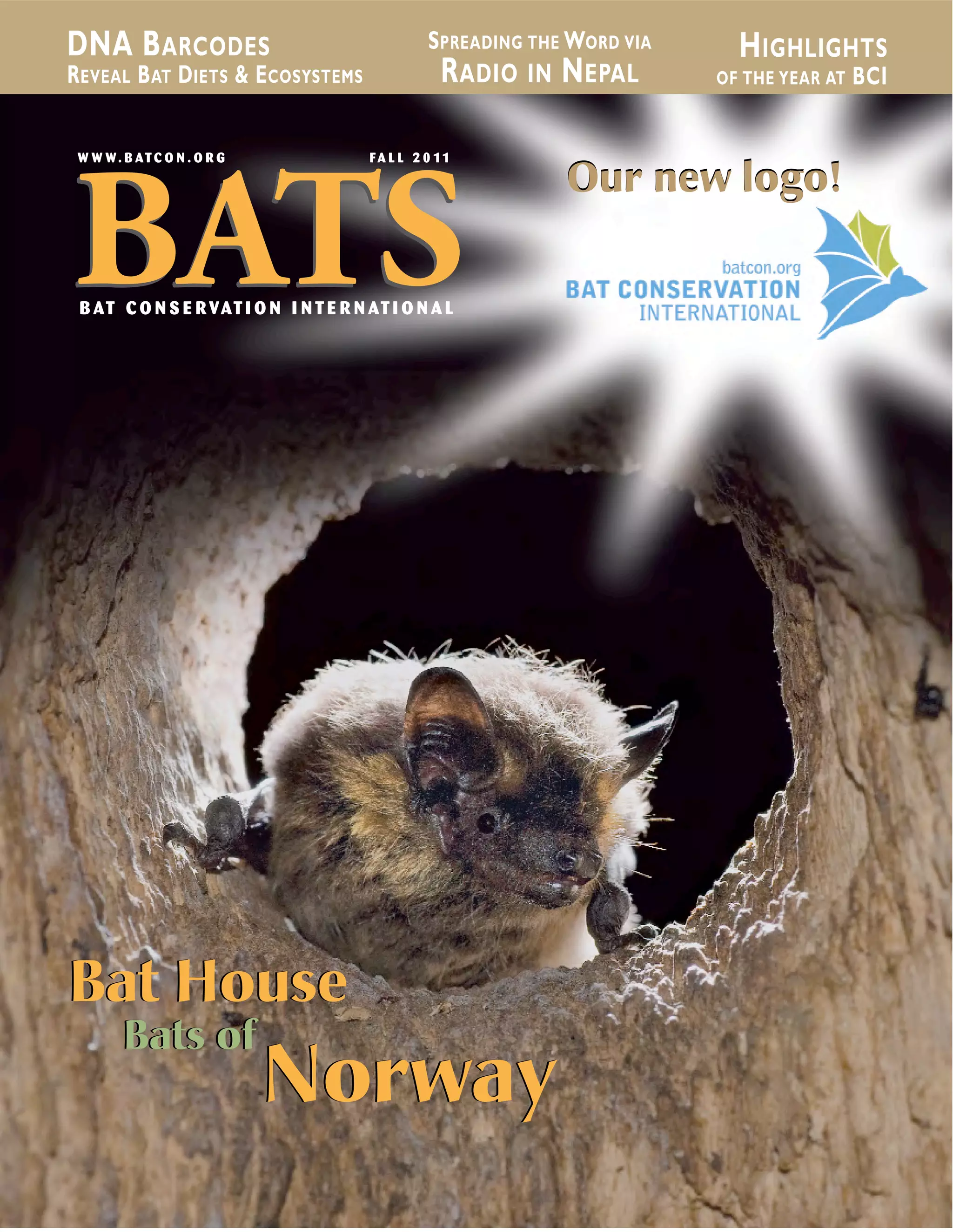 Bats Fall (Monfort) | PDF | Zoos & Aquariums | Attractions
