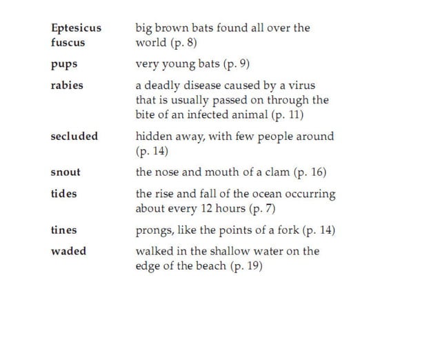 Bats In The Attic(fictional story) | PDF