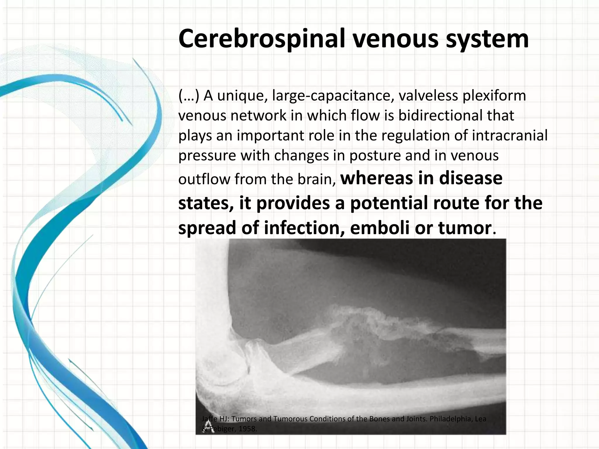 Plexo Venoso de Batson | PPTX